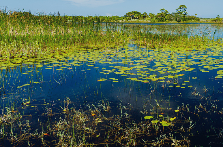 Dredging Equipment Manufacturer | GeoForm International Inc.