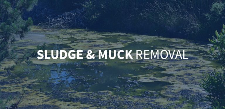 Guide to Removing Sludge & Muck From Your Pond or Lake